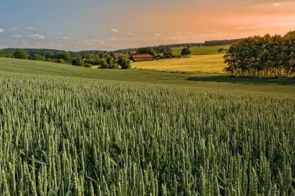 Restaurant Langoest (Rotterdam) – Toegankelijk Uit Eten